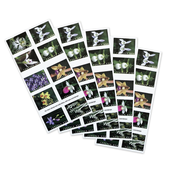 Wild Orchids Stamps - Forever Stamp Store