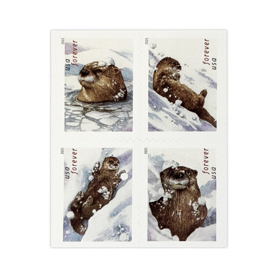 Otters in Snow Stamps – 2021 USPS Forever Stamps - Forever Stamp Store