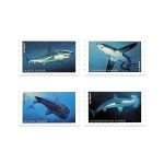 Sharks Stamps - 2017 USPS Forever Stamps - Forever Stamp Store