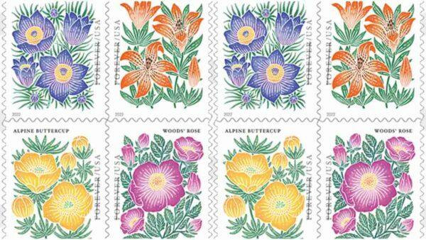 Flower Stamps: How many flowers bloom on the Forever Stamp on 2022 ...