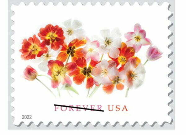 Flower Stamps: How many flowers bloom on the Forever Stamp on 2022 ...