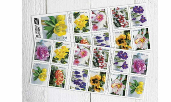 Flower Stamps: How many flowers bloom on the Forever Stamp on 2022 ...