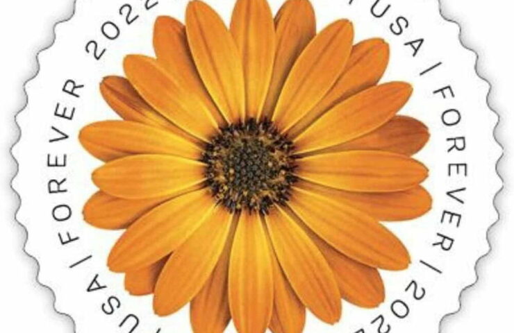 Blog - Forever Stamp Store