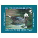 Federal Duck Stamps - Forever Stamp Store