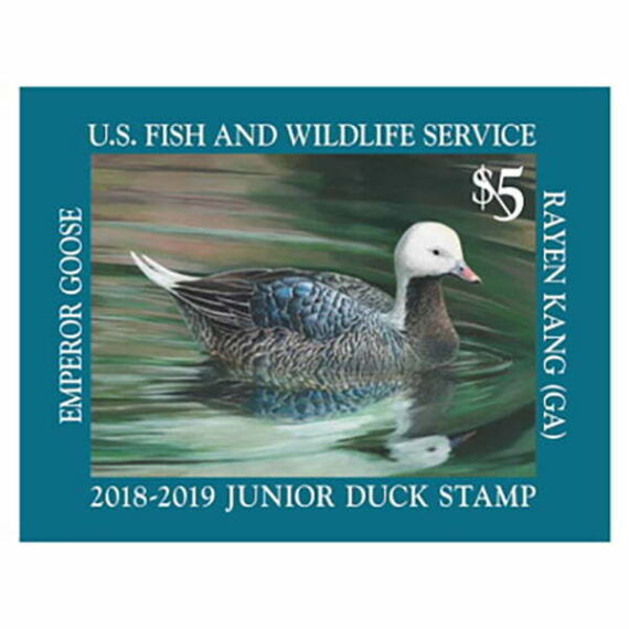 Jr Duck Emperor Goose Stamp 2018-2019 - Forever Stamp Store