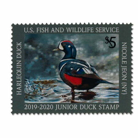 Federal Duck Stamps - Forever Stamp Store