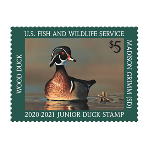 Jr Duck Wood Duck Stamp 2020-2021 - Forever Stamp Store
