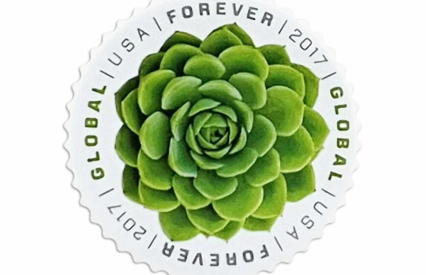 Forever Stamp: Tips for Using Forever Stamp Properly - Forever Stamp Store