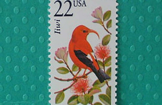 Postage Stamps: Six Tips to Distinguish the Authenticity of Postage ...