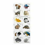 California Dogface Butterfly Stamp (Non-Machineable) - Forever Stamp Store