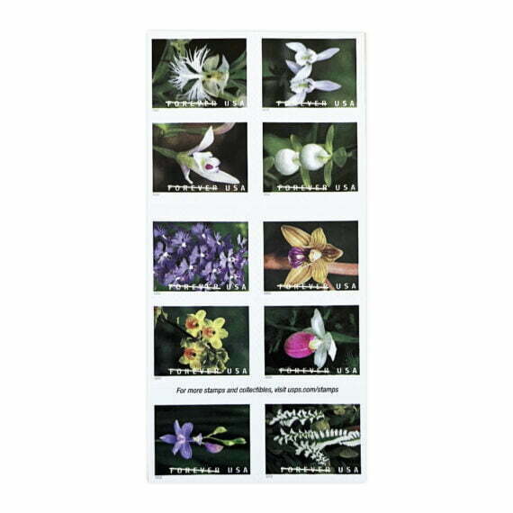 Wild Orchids Stamps - Forever Stamp Store