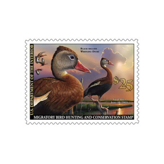 Black Bellied Whistling Ducks Stamp 2020-2021 - Forever Stamp Store