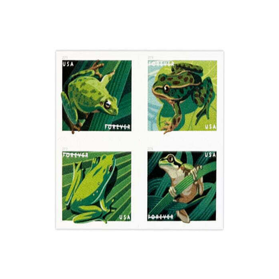 Frogs Stamps - Forever Stamp Store