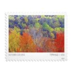 Autumn Colors Stamps - Forever Stamp Store