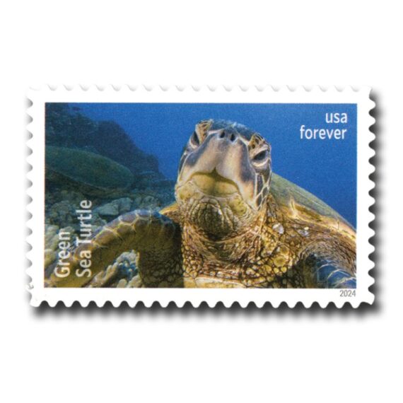 Protect Sea Turtles Stamps - Forever Stamp Store