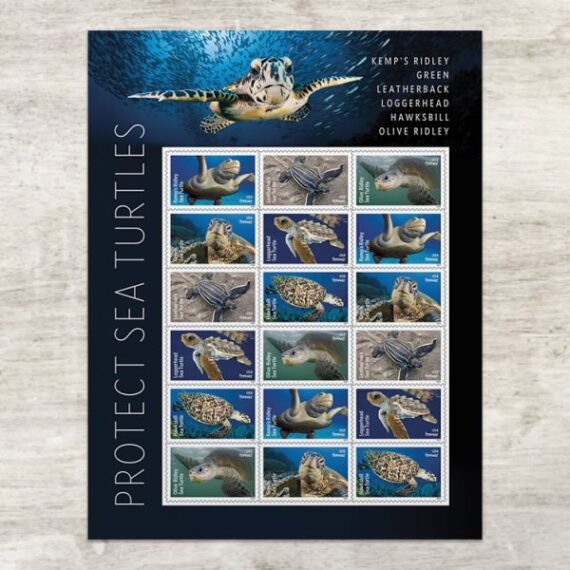 Protect Sea Turtles Stamps - Forever Stamp Store