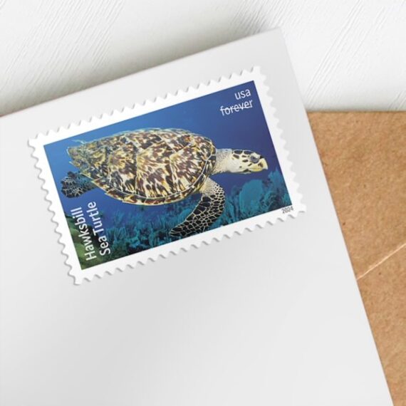 Protect Sea Turtles Stamps - Forever Stamp Store