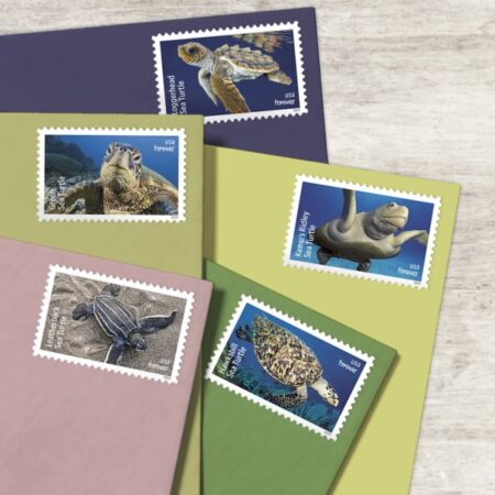Forever Stamp Store Online | Leading Stamp Dealer - Forever Stamp Store
