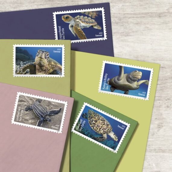 Protect Sea Turtles Stamps - Forever Stamp Store