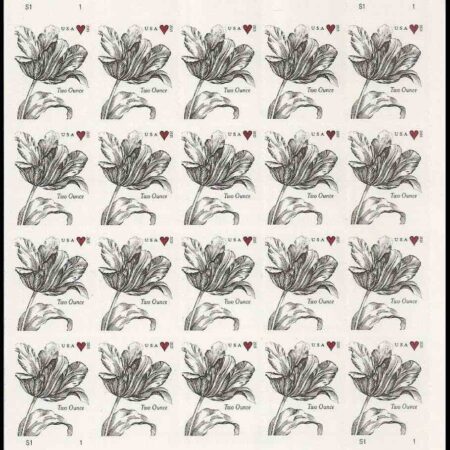 Forever Stamp Store Online | Leading Stamp Dealer - Forever Stamp Store